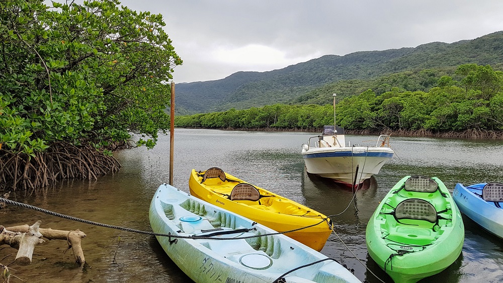 Kayaking and Trekking on Iriomote Island - The Real Japan