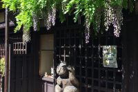 10 Top Rated Virtual Japan Tours To Take Online - The Real Japan