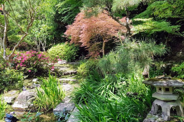 Nanten-en Ryokan: A Peaceful Haven In Rural Amami, Osaka (Review) - The ...
