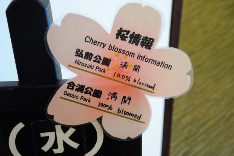 UPDATED! Sakura Beautiful Cherry Blossom Festivals in Japan - The Real ...