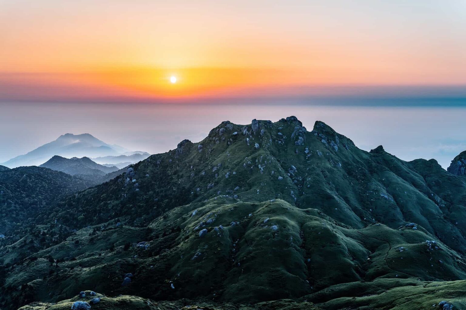 UPDATED! Japan’s Wildlife - Beyond Beauty and Into The Wild - The Real ...